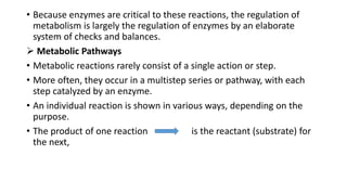 enzymatic activities and enzyme pathway | PPTX