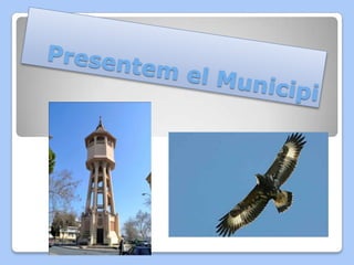 Presentem el municipi | PPTX