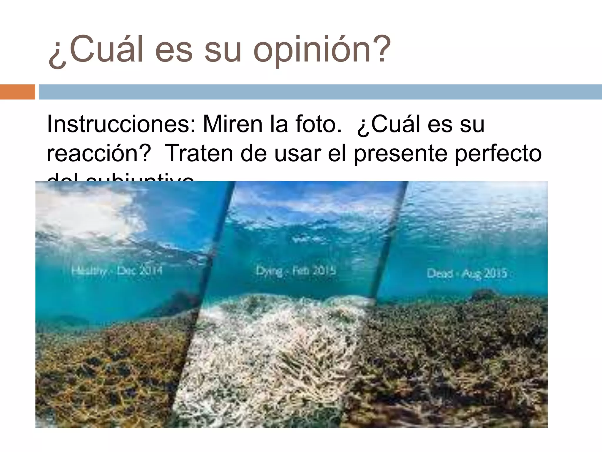 Presente perfecto del subjuntivo-Spanish 201 | PPT