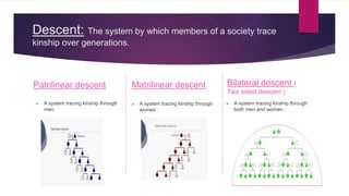 Family, A social institution | PPTX | Reproductive Health | Diseases ...