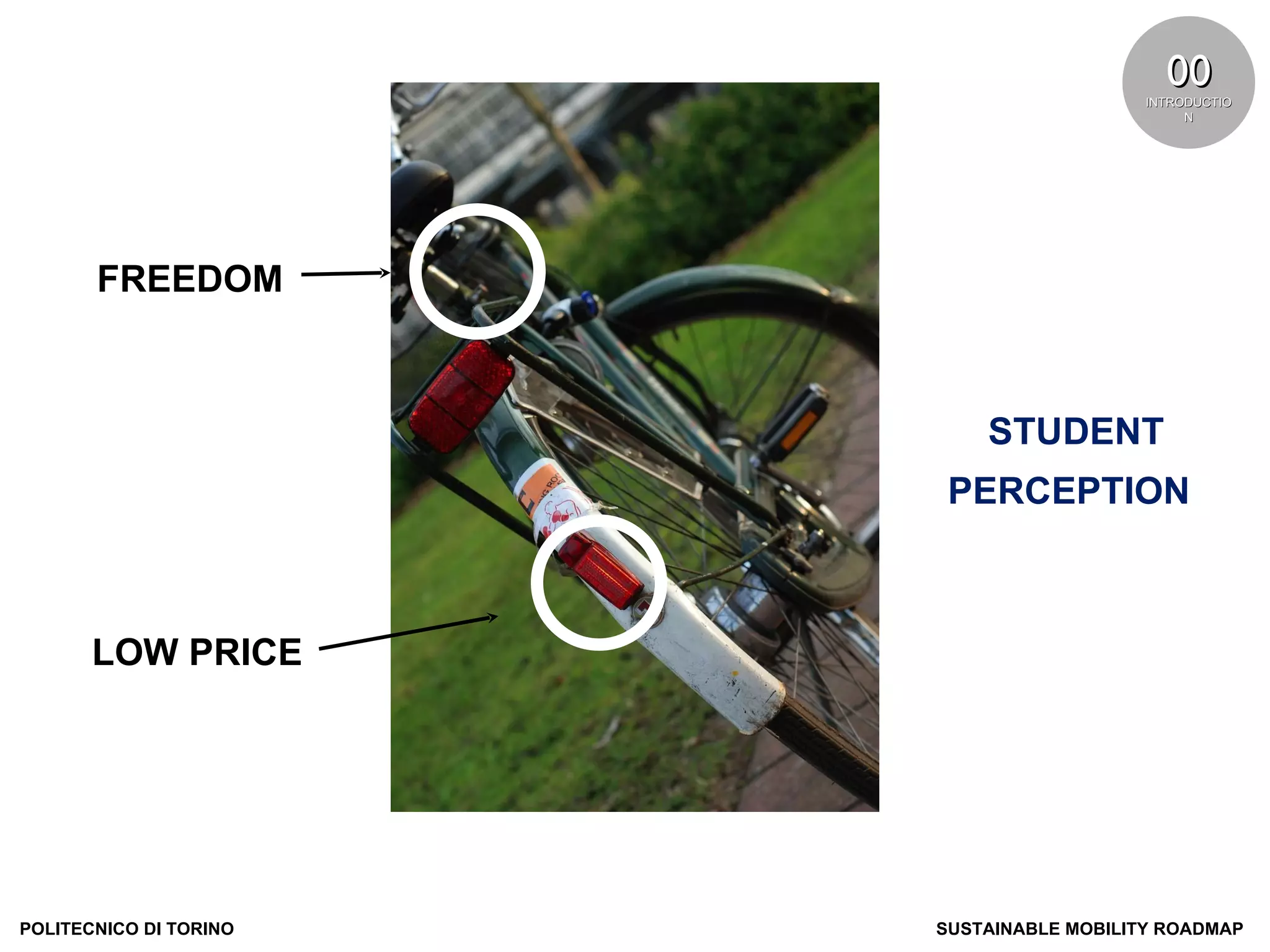Sustainable mobility roadmap - master thesis | PPT