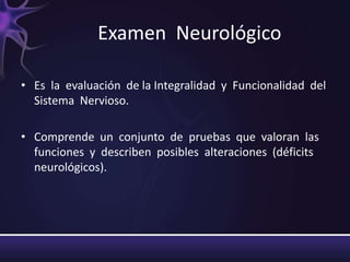 Examen Fisico Y Neurologico Top Sellers | innoem.eng.psu.ac.th