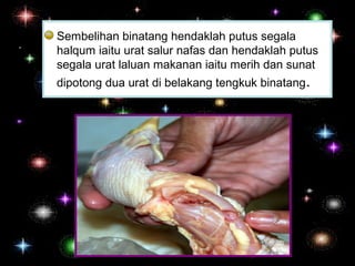 Perbincangan Isu-isu Sembelihan Dari Segi Hukum (Fiqh Ibadah) | PPT