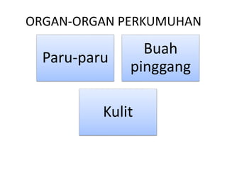 Sains Sukan & Kejurulatihan : Sistem Otot | PPTX