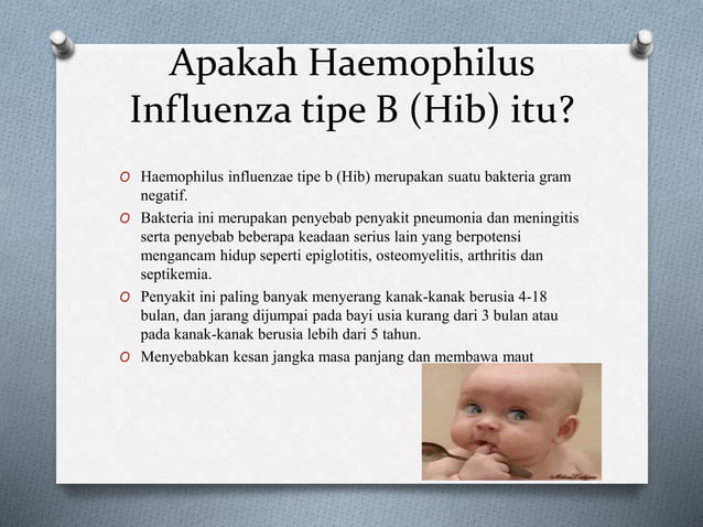 Haemophilus Influenza type B (Hib) | PPT
