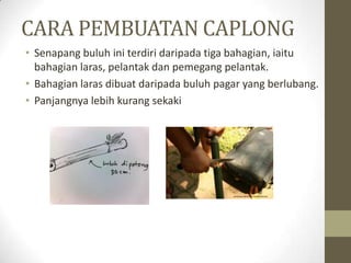 permainan tradisional caplong | PPTX