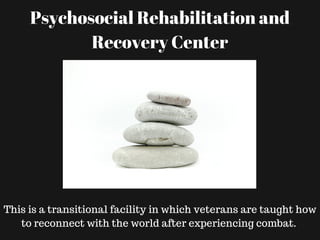 VA Mental Health Resources | PDF
