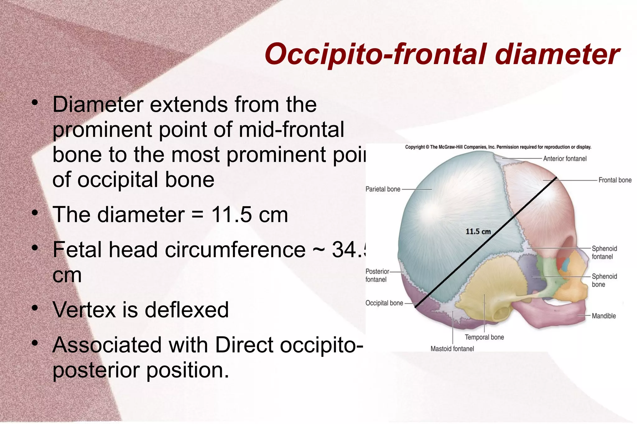 Presenting diameters | PPT