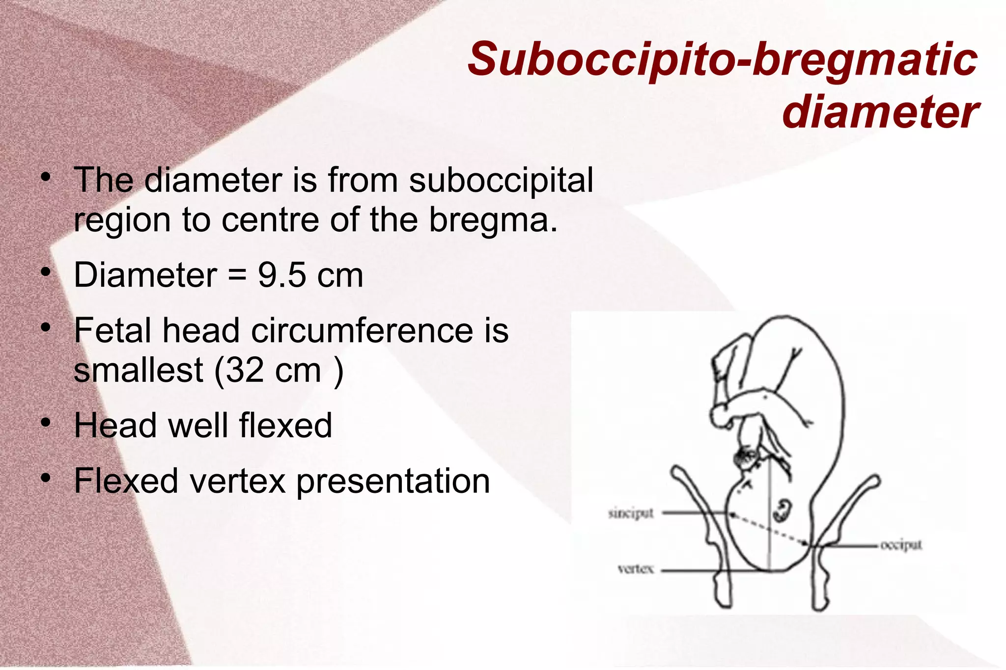 Presenting diameters | PPT
