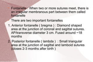Presenting diameters | PPT