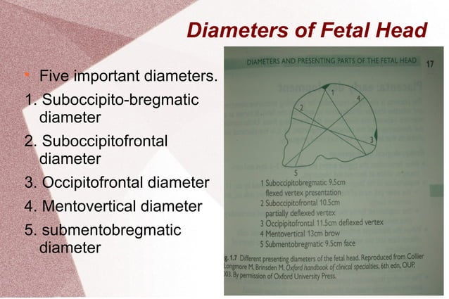 Presenting diameters | PPT