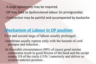 Presenting diameters | PPT