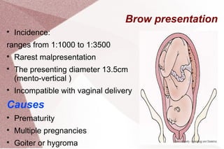 Brow Presentation Diameter
