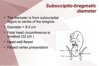 Brow Presentation Diameter
