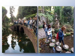 Presenting madeira visit | PPT