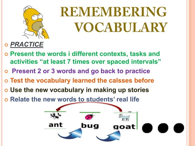 Presenting new vocabulary | PPTX