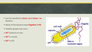 Bacterial Infections of Oral Cavity | PPTX