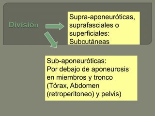 Present otras hernias y tumores de partes blandas | PPTX