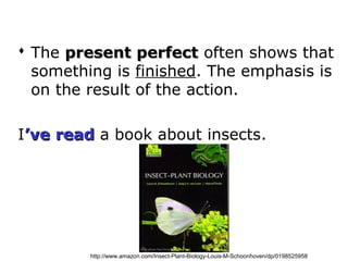 Present perfect and present perfect progressive | PPT