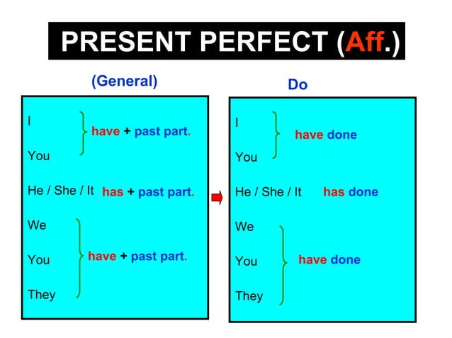 Present Perfect Simple Forms | PDF