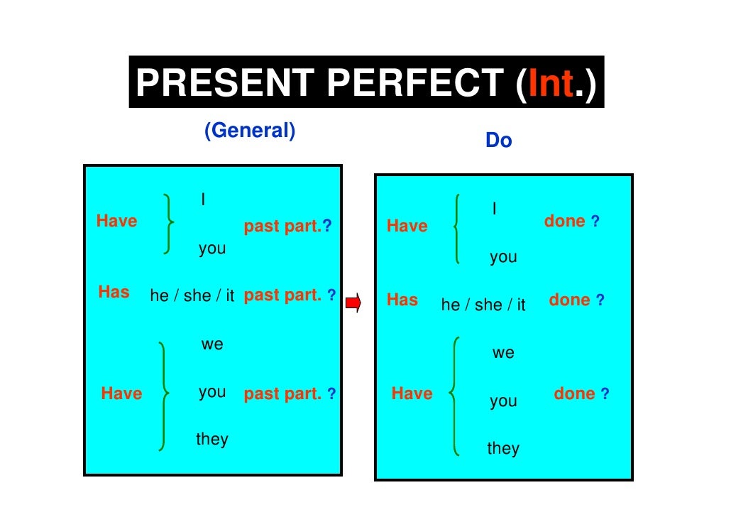 Present Perfect Simple Forms