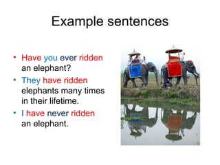 Present Perfect | PPT