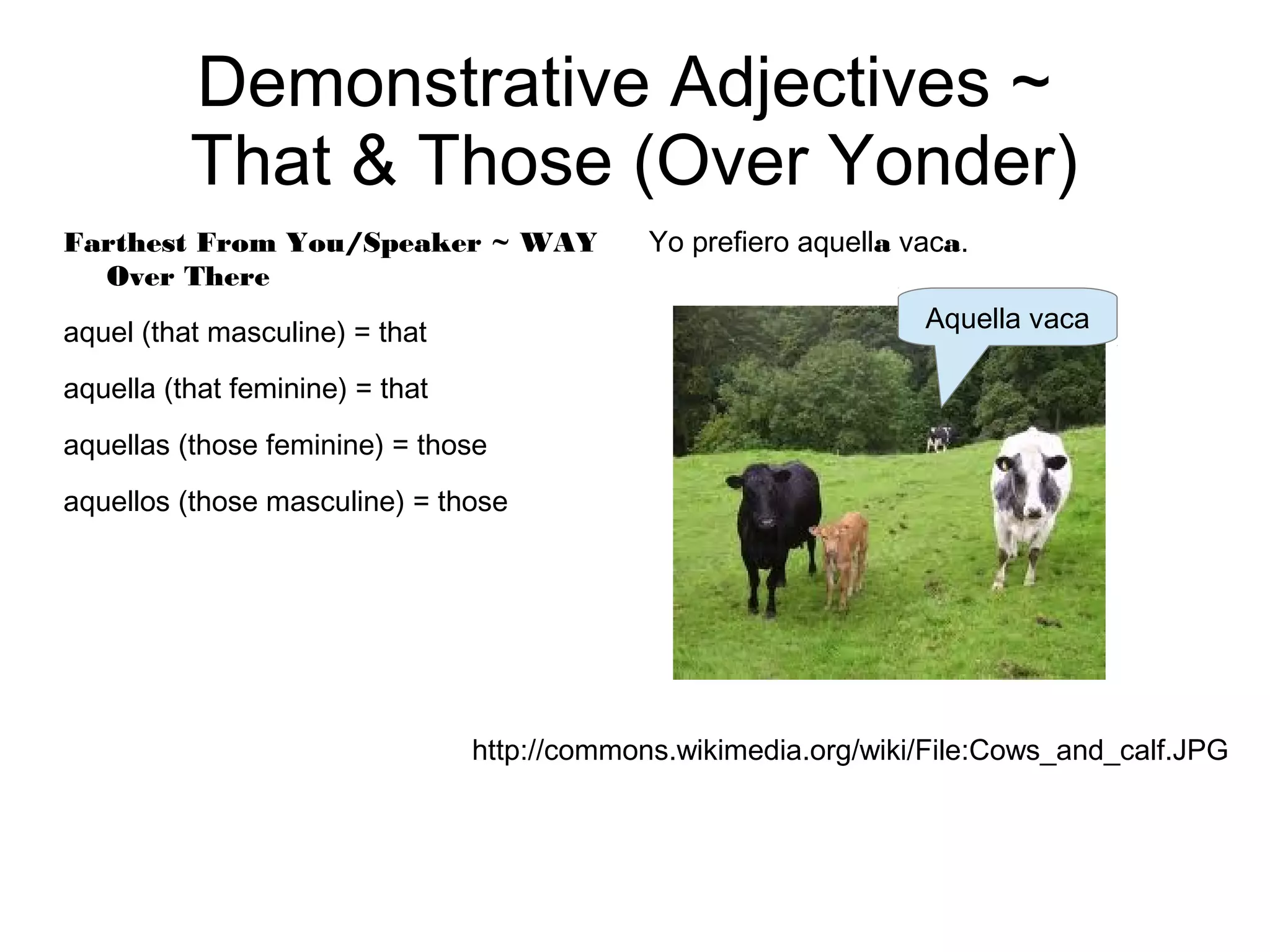Present Progressive Tense, Comparisons & Demonstrative Adjectives | PPT