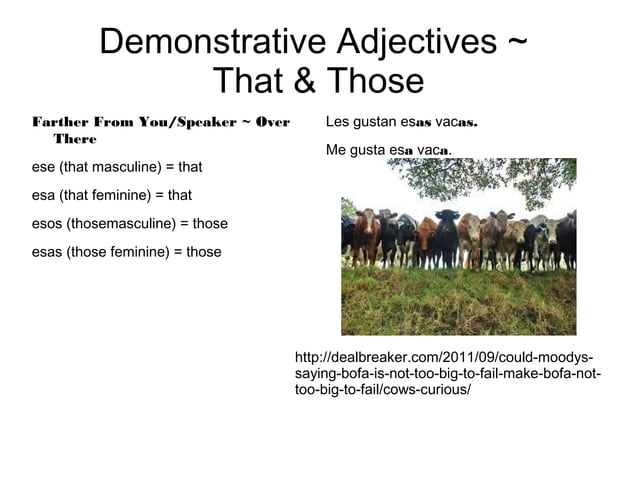 Present Progressive Tense, Comparisons & Demonstrative Adjectives | PPT