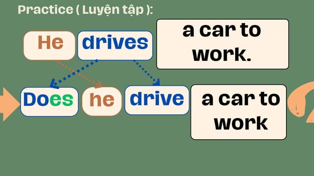 Present simple (interrogative form).pptx