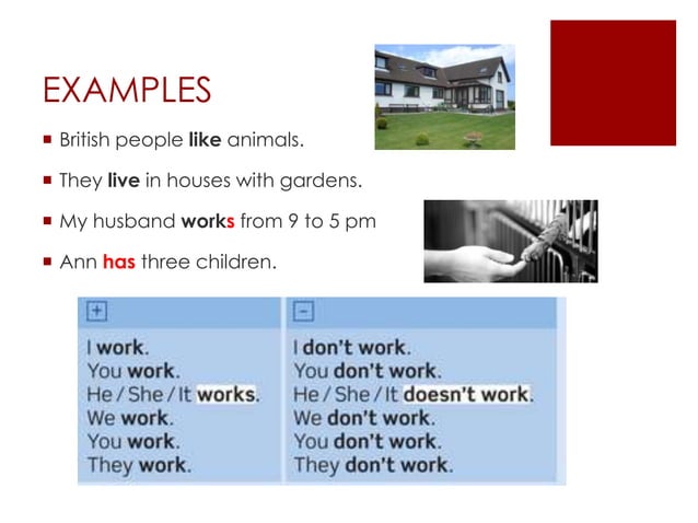 Present simple a1 | PPTX