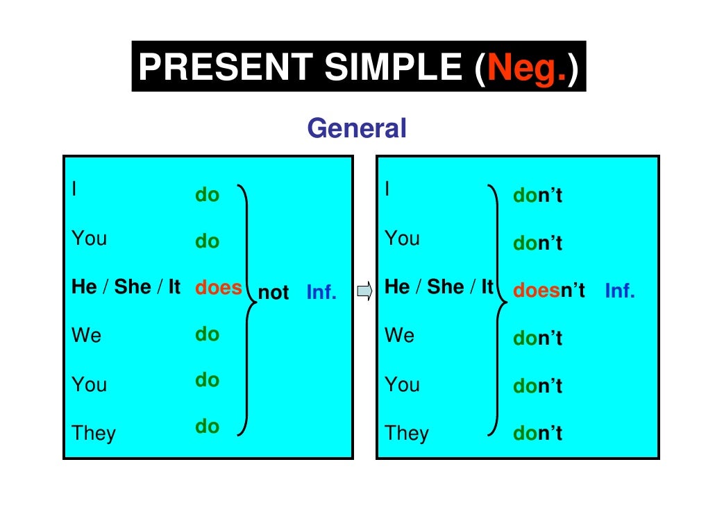 Present Simple Forms