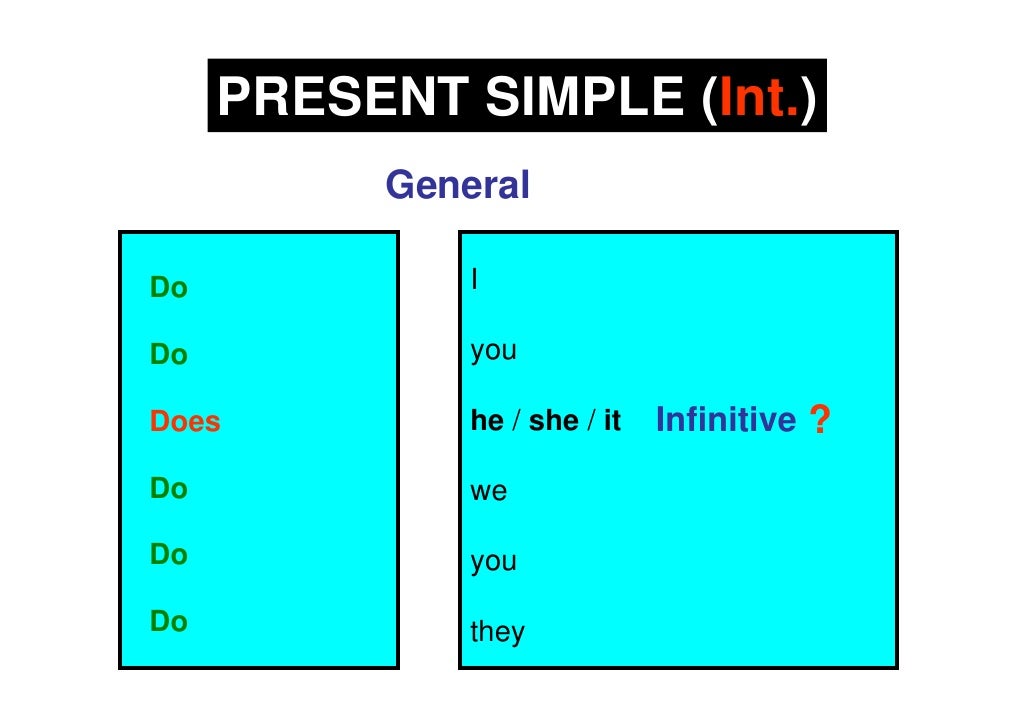 Present Simple Forms
