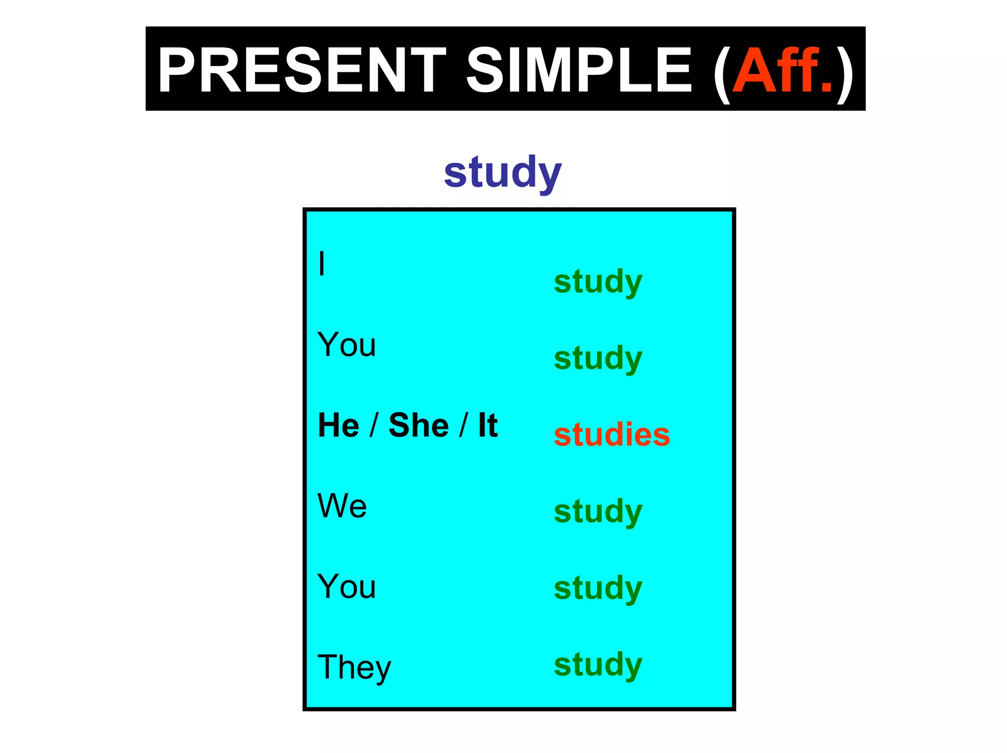 Present Simple Forms | PDF