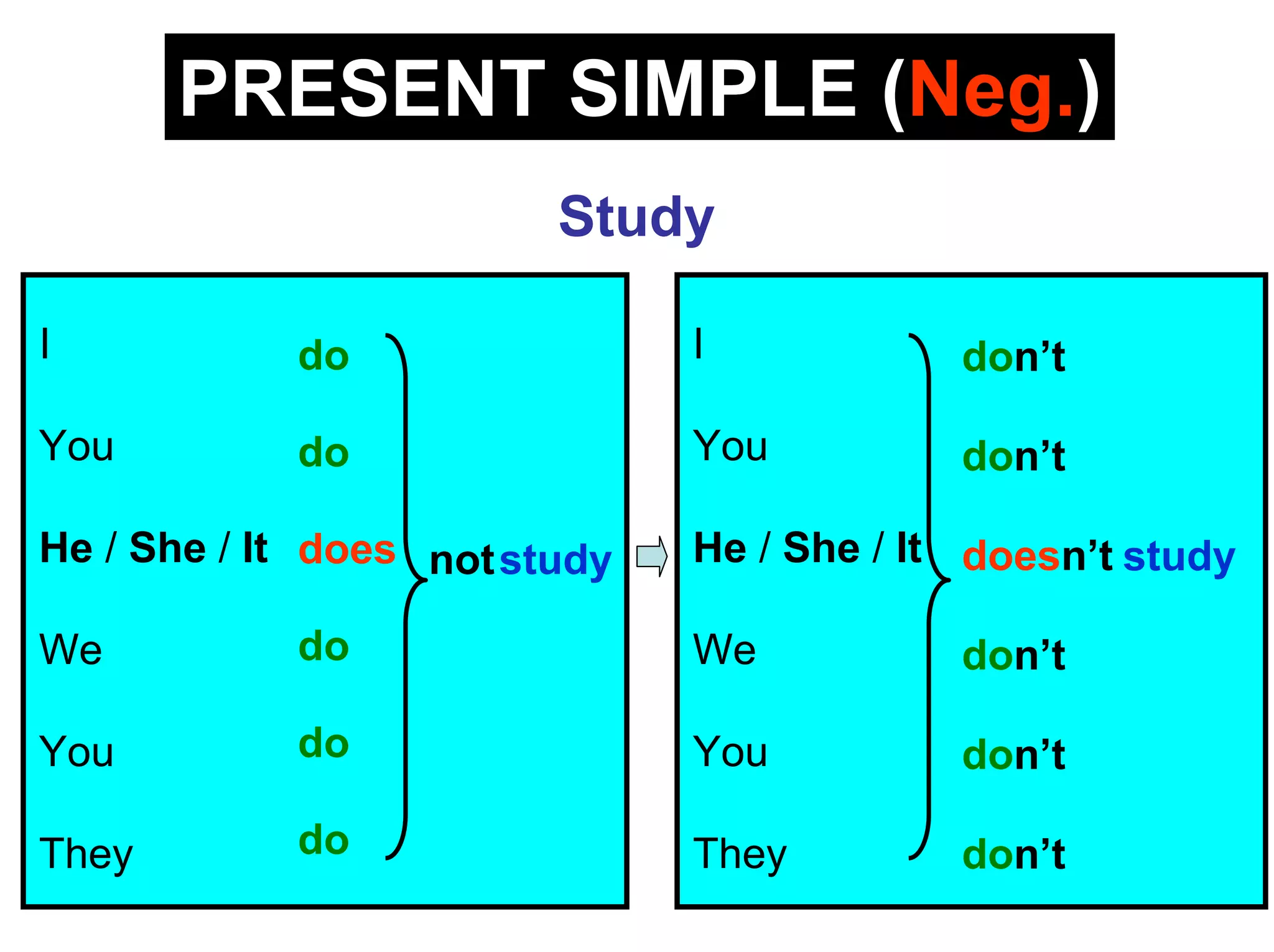 Present Simple Forms | PDF