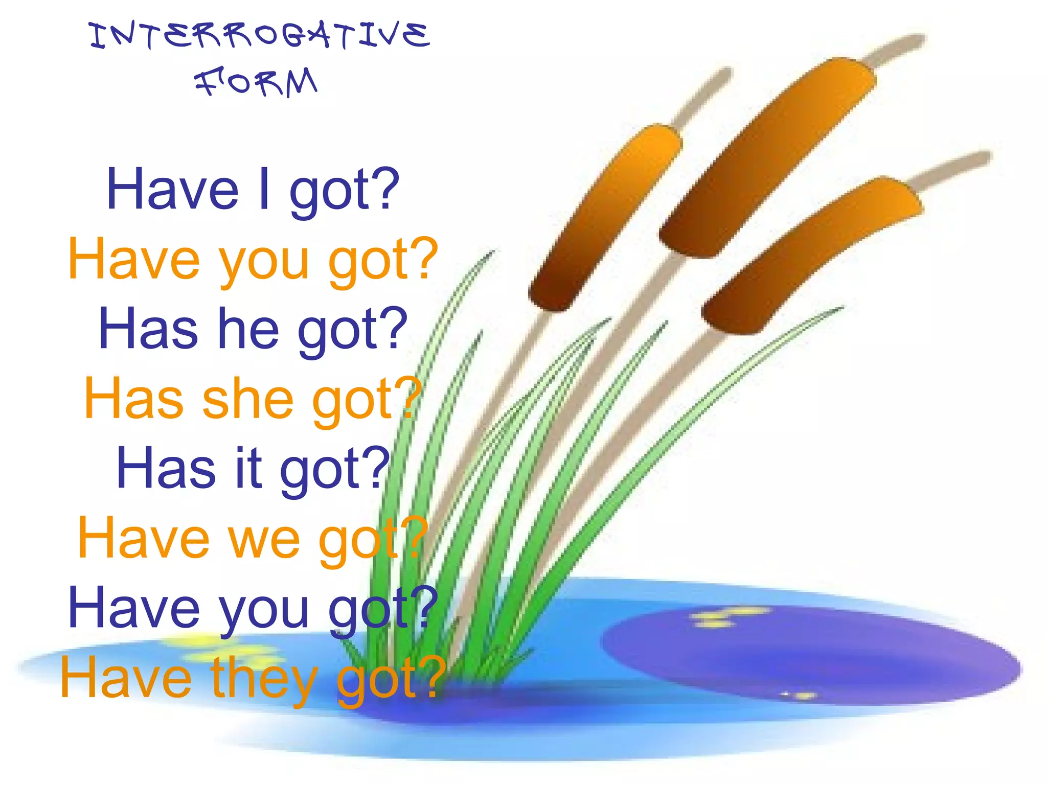 Present simple of to have | PPT