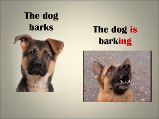 Present simple vs countinous | PPT