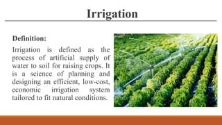 Present status of irrigation in India BY SITARAM SAINI | PPTX