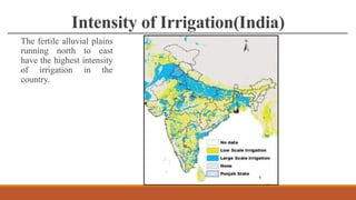 Present status of irrigation in India BY SITARAM SAINI | PPTX