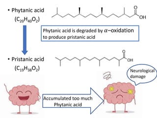 Quantification of phytanic and pristanic acids in dairy products | PPT