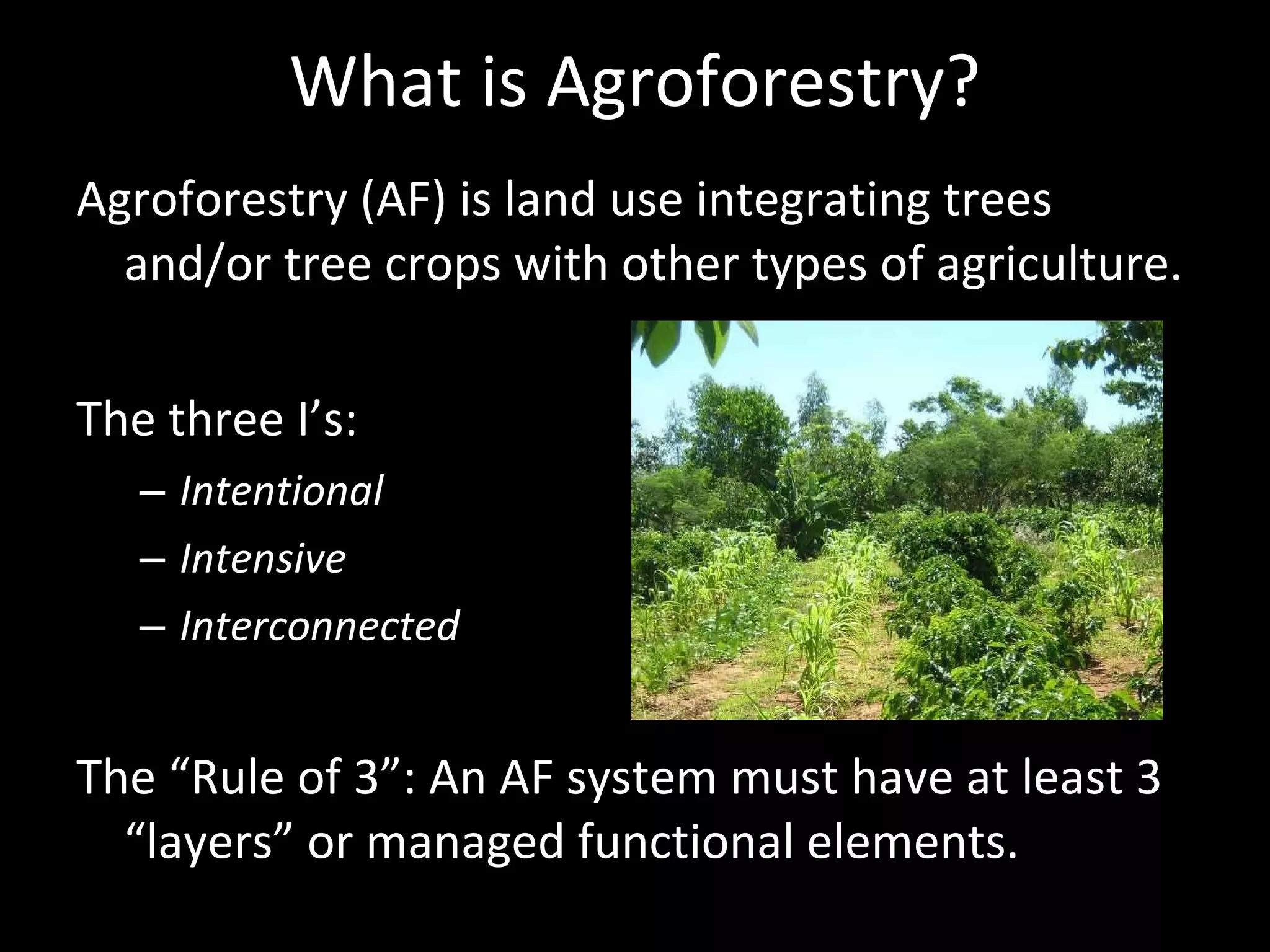 Tree Crops & Agroforestry - Young Farmers 09 | PPT