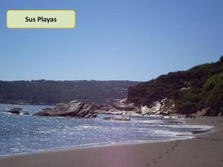 Valdivia, Chile | PPT