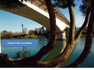 Valdivia, Chile | PPT