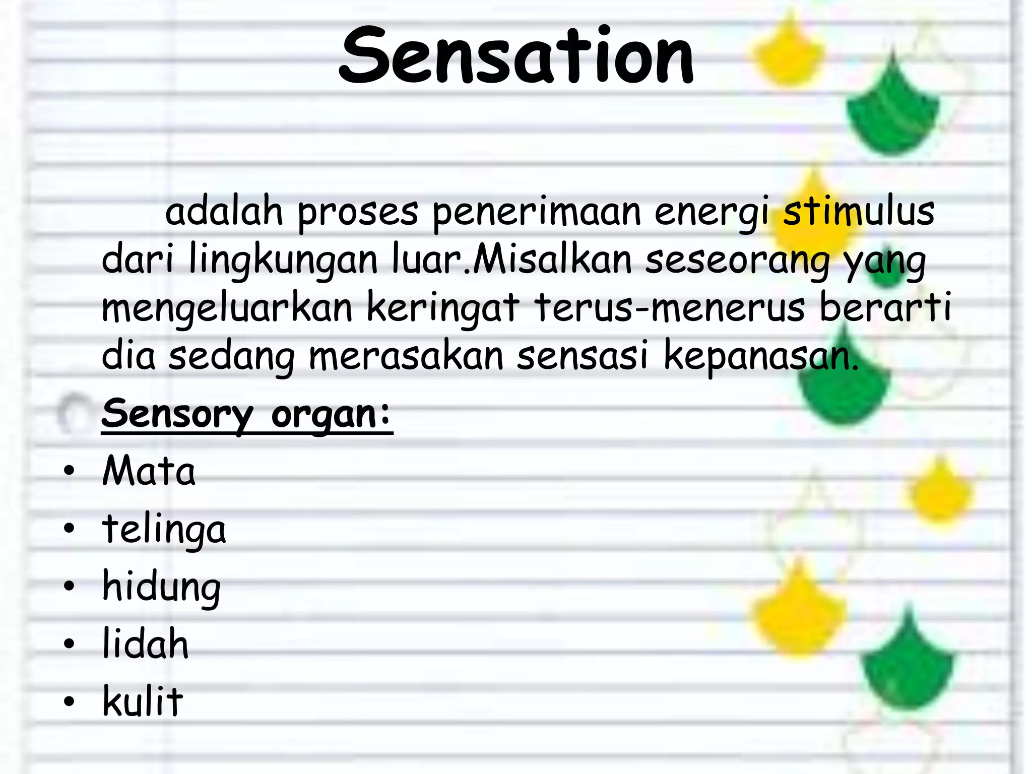 Perception and sensation | PPTX