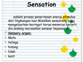 Perception and sensation | PPTX