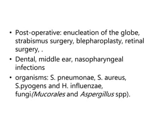 Preseptal and orbital cellulitis MD5 by Noel | PPTX