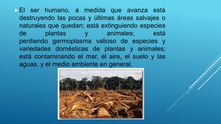 Preservacion del medio hambiente | PPTX