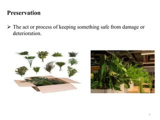 preservation.pptx
