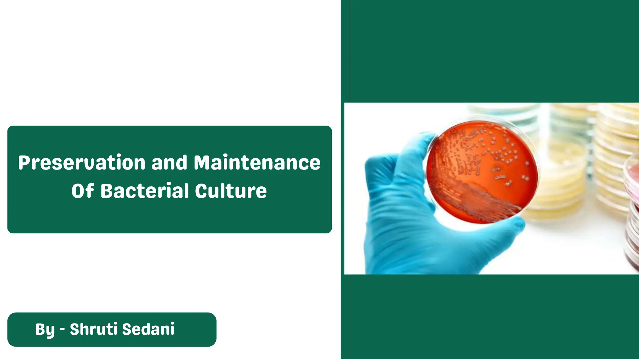 Preservation and Maintenance Of Bacterial Culture.pptx