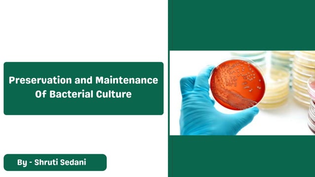 Preservation and Maintenance Of Bacterial Culture.pptx