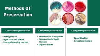 Preservation and Maintenance Of Bacterial Culture.pptx